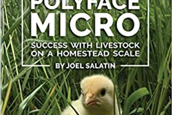 Polyface Micro: success with livestock on a homestead scale | ECHOcommunity.org